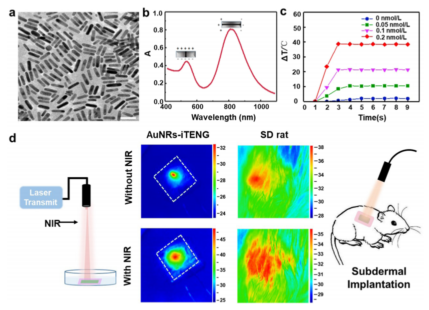 欧阳涵课题组-中国科学院大学纳米生物医学工程实验室 - 欧阳涵课题组-中国科学院大学纳米生物医学工程实验室