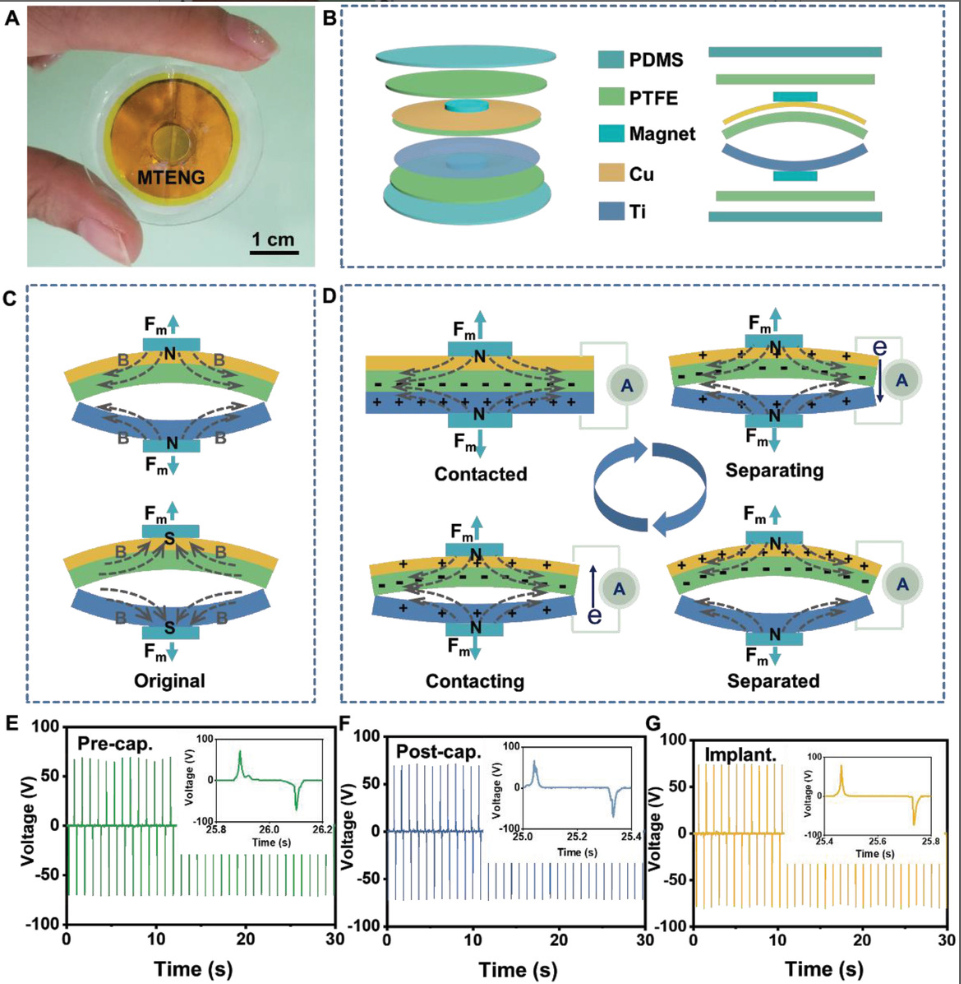 欧阳涵课题组-中国科学院大学纳米生物医学工程实验室 - 欧阳涵课题组-中国科学院大学纳米生物医学工程实验室